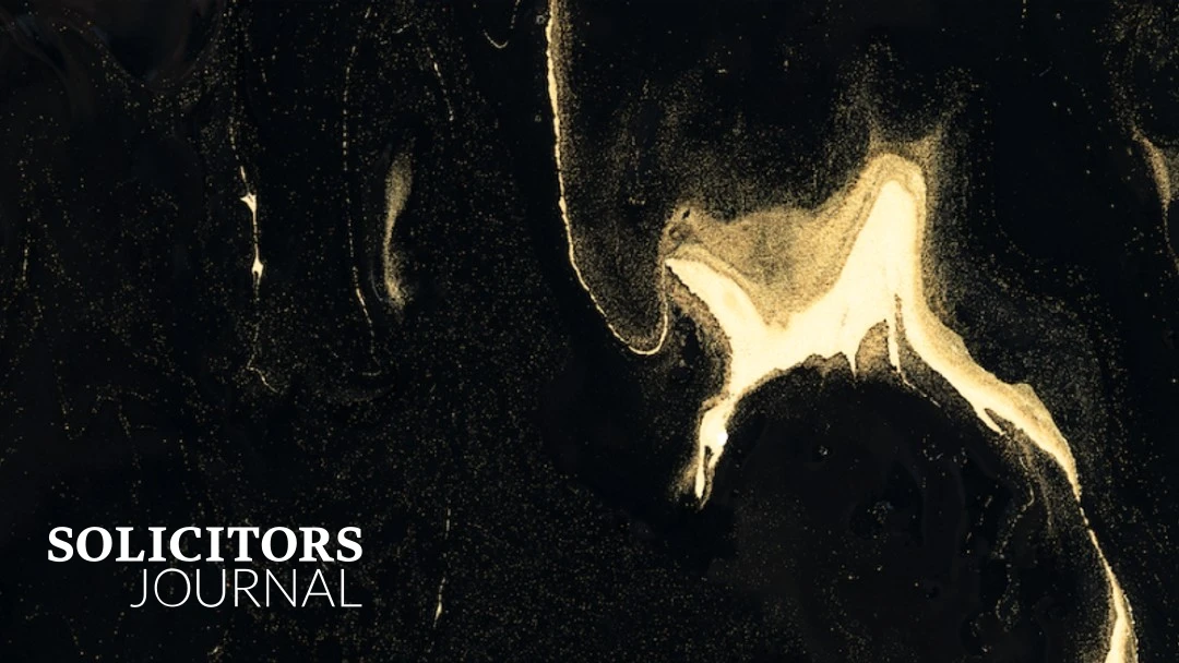 How the light gets in - Solicitors Journal