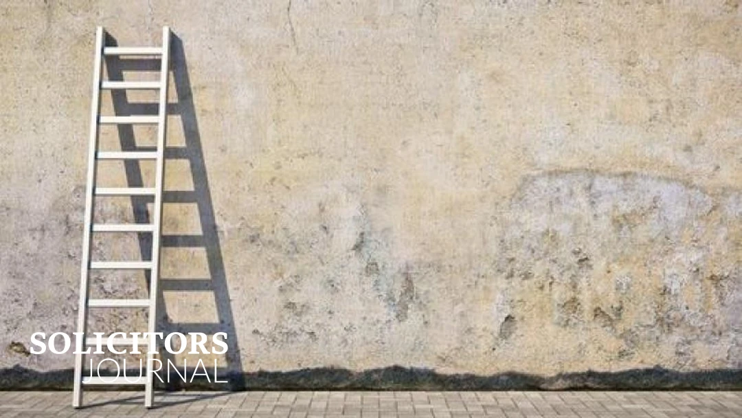 Ladder thief who fell off getaway van loses compensation battle ...