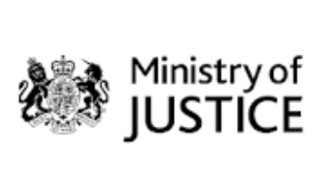 Factors influencing court users’ decisions to bring cases to court ...