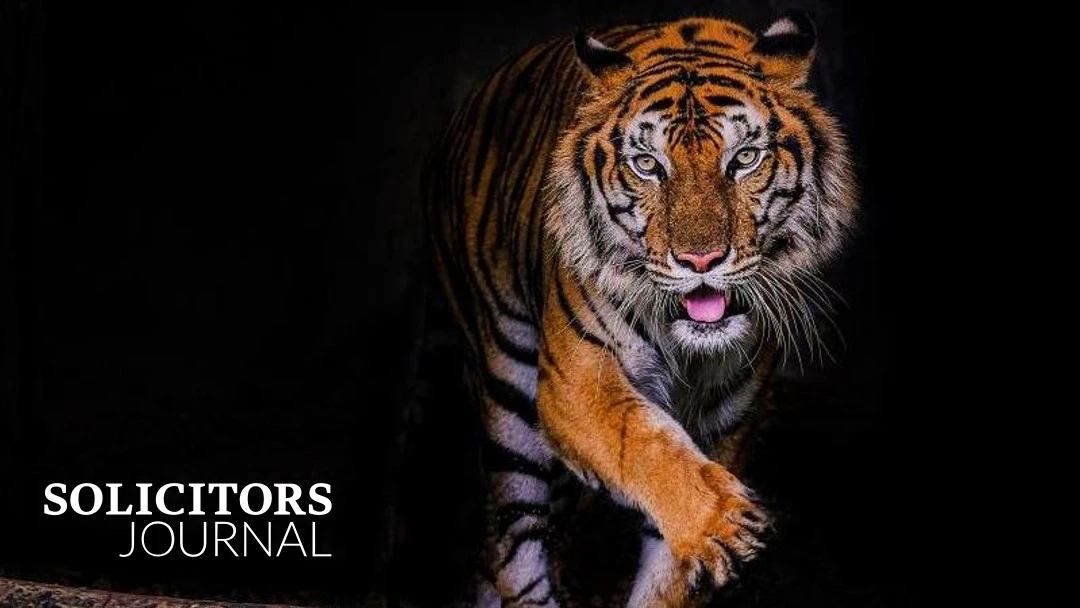 Wildcat Law expansion - Solicitors Journal